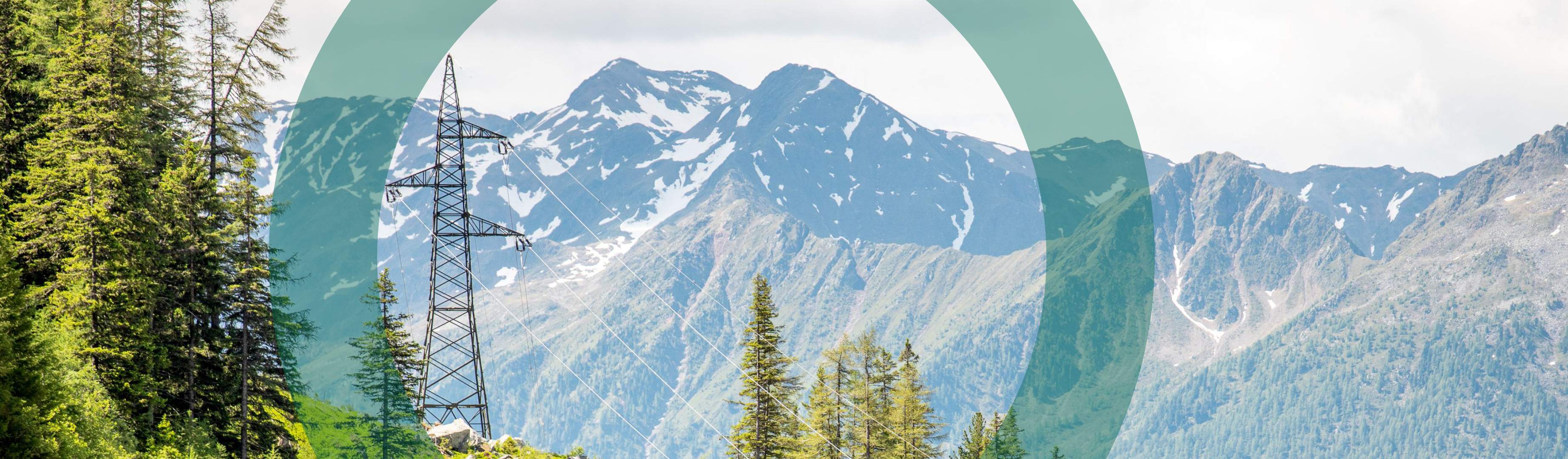 KNG Mein Portal - Login